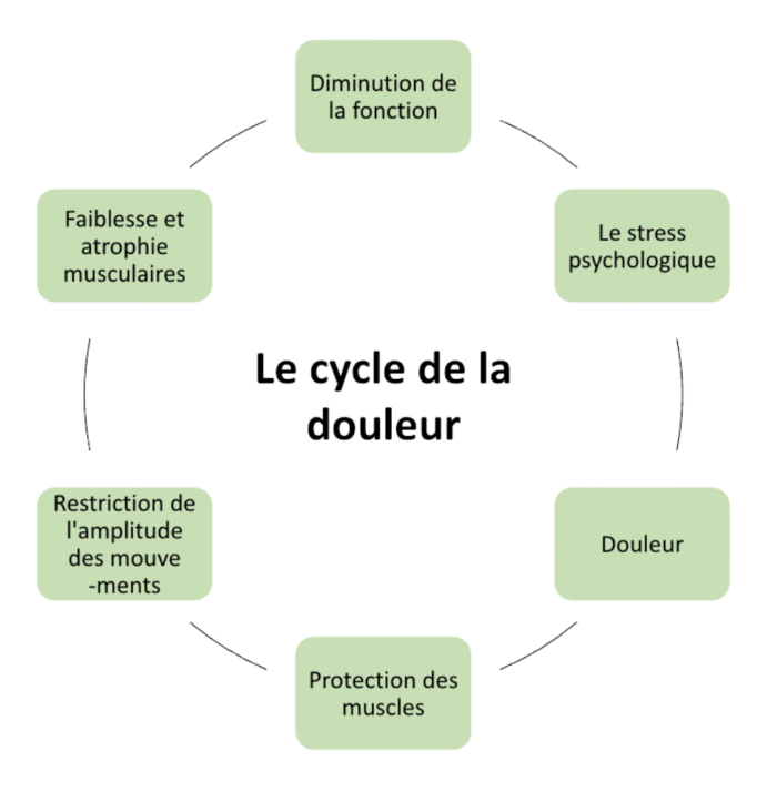 Physiothérapie - NorAlign - Functional Rehabilitation Centre